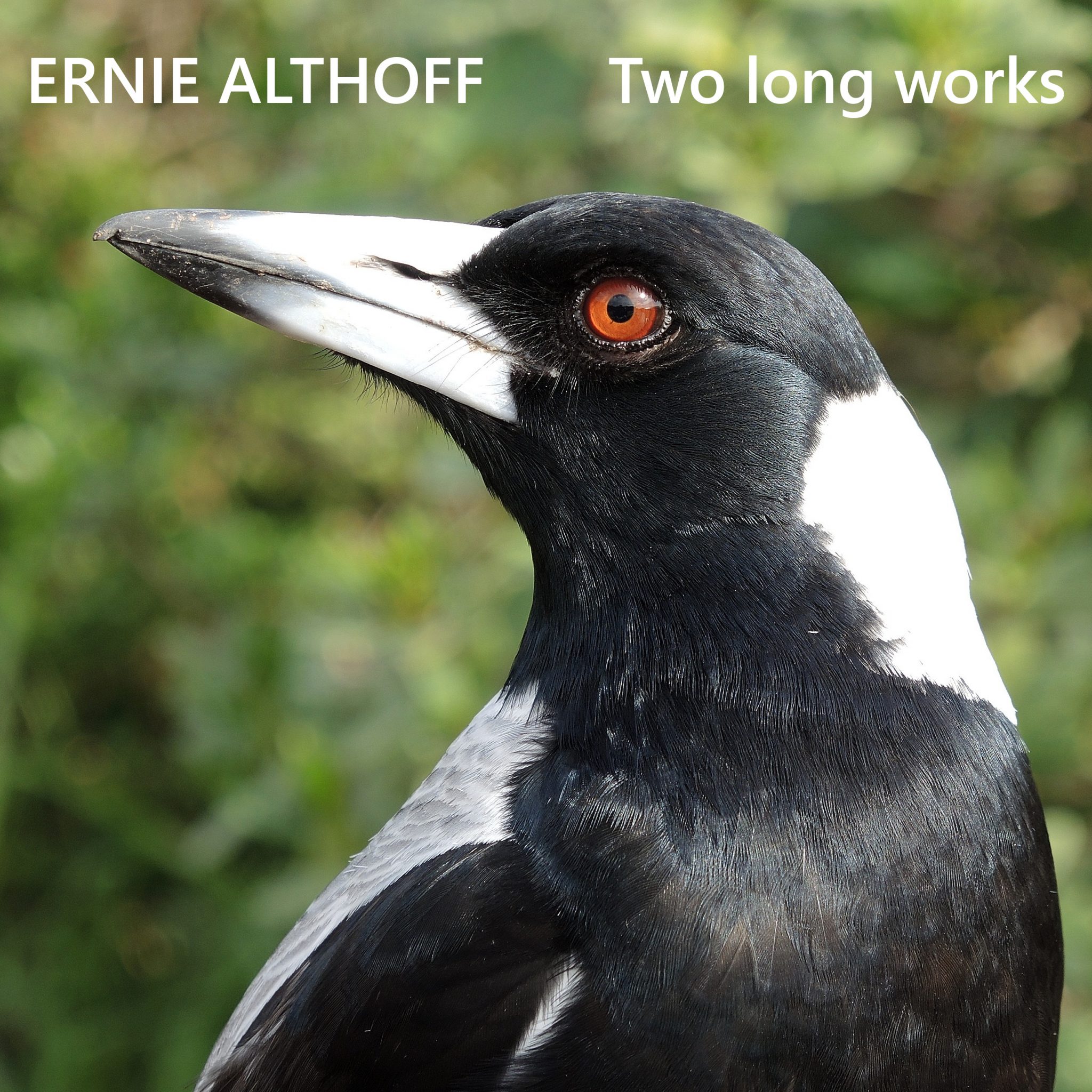 Ernie Althoff “Two Long Works” digital – Shame File Music Ernie Althoff “Two Long Works” digital – Shame File Music