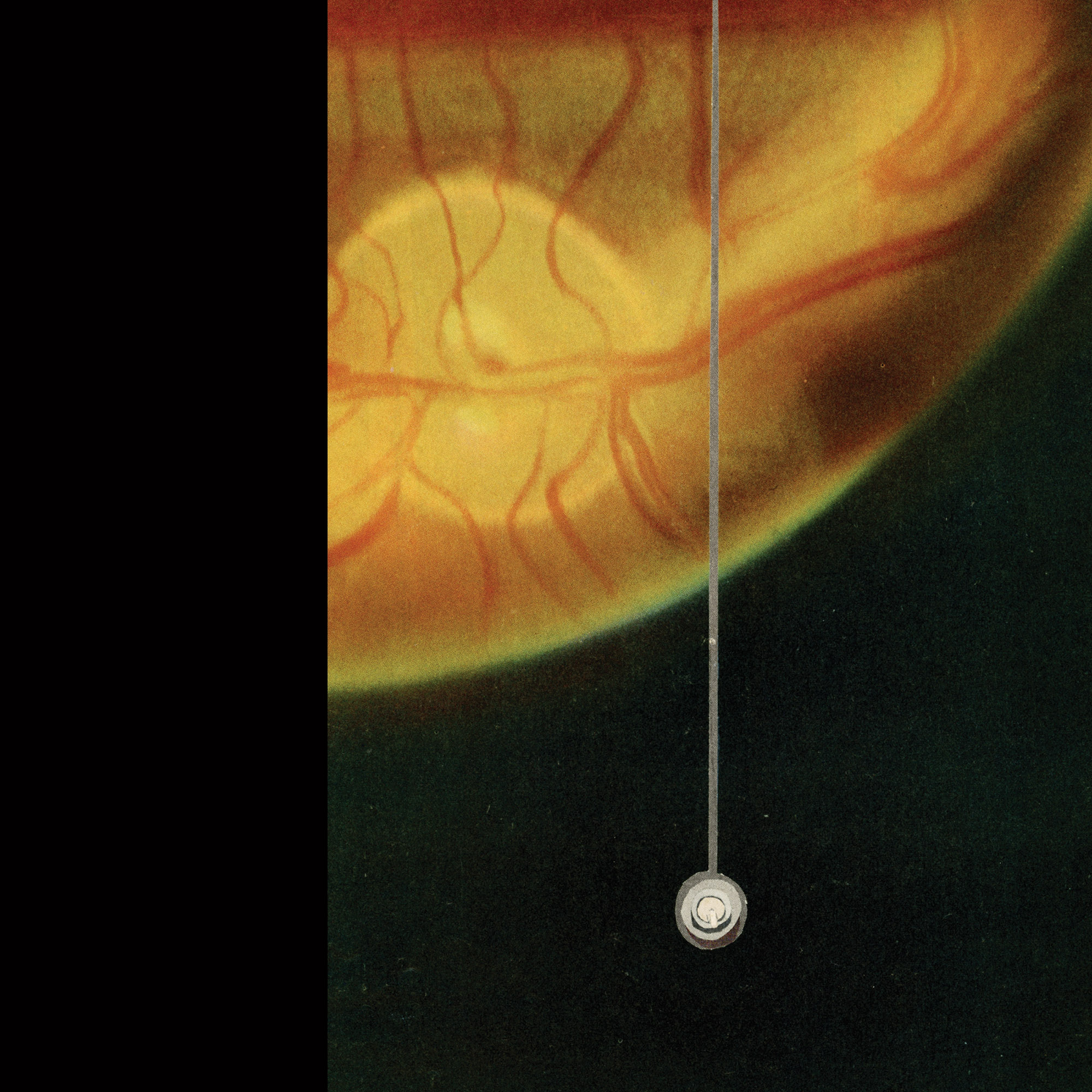 David Brown & James Clayden “Plant Hunting in Japan” LP – Shame File Music